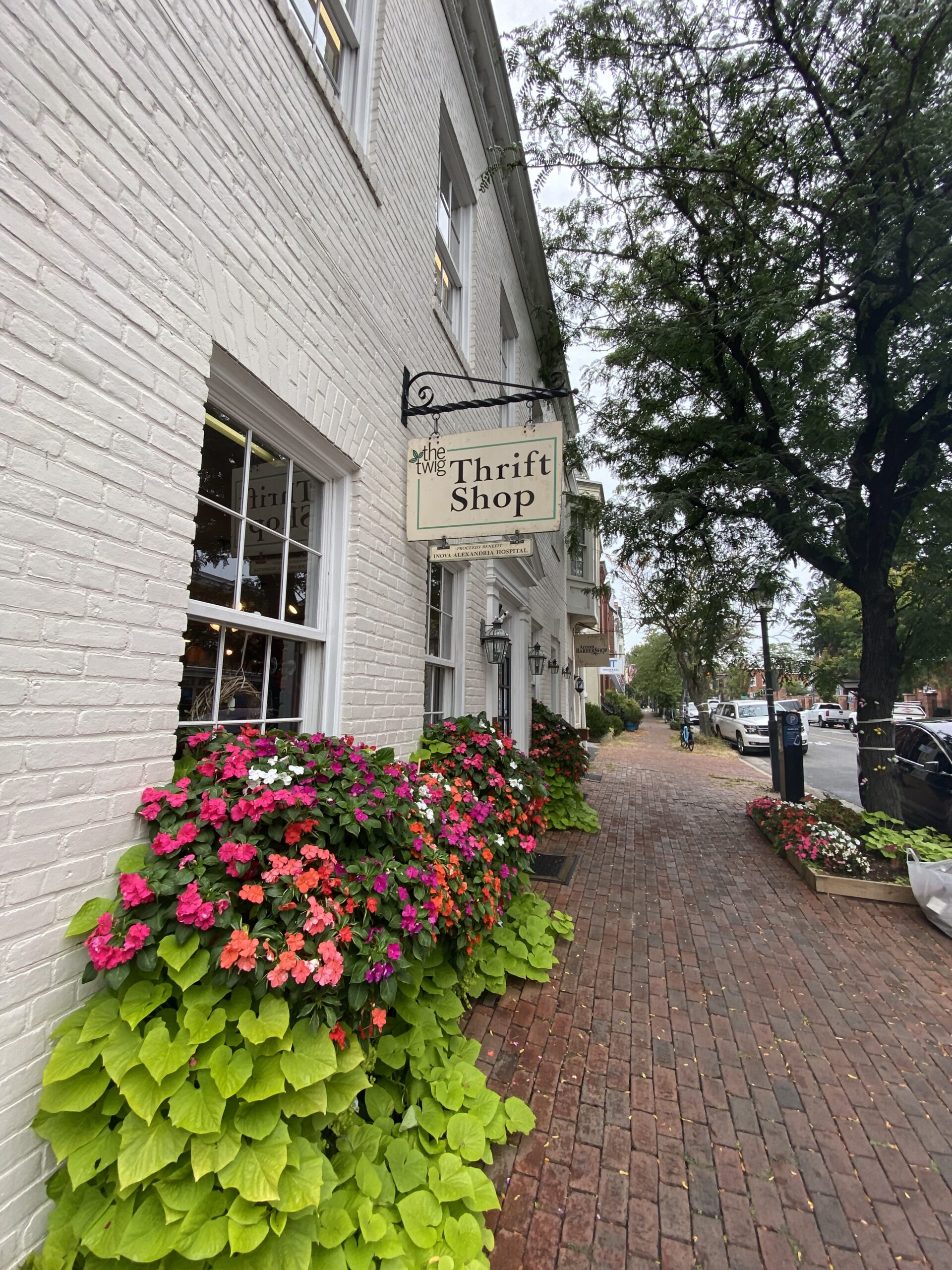 The Twig | The Twig Public Web Site.