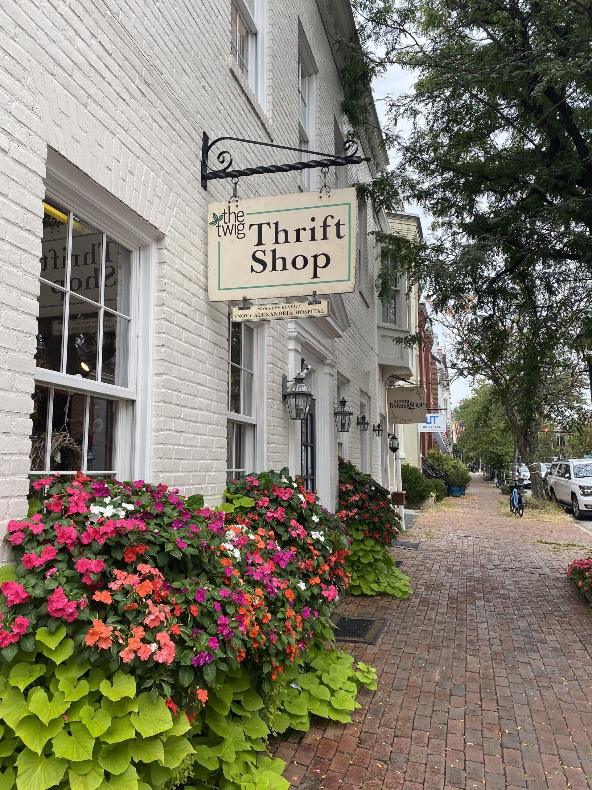 The Twig | Shop Hours